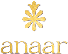 Buy Anaita X Anaar Collection: Bold & Glamorous Footwear | Anaar